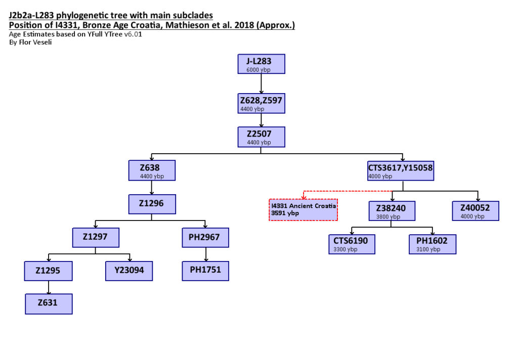 Y-SNP analysis of I4331, J2b2a-L283, Bronze Age Croatia – Mathieson et ...